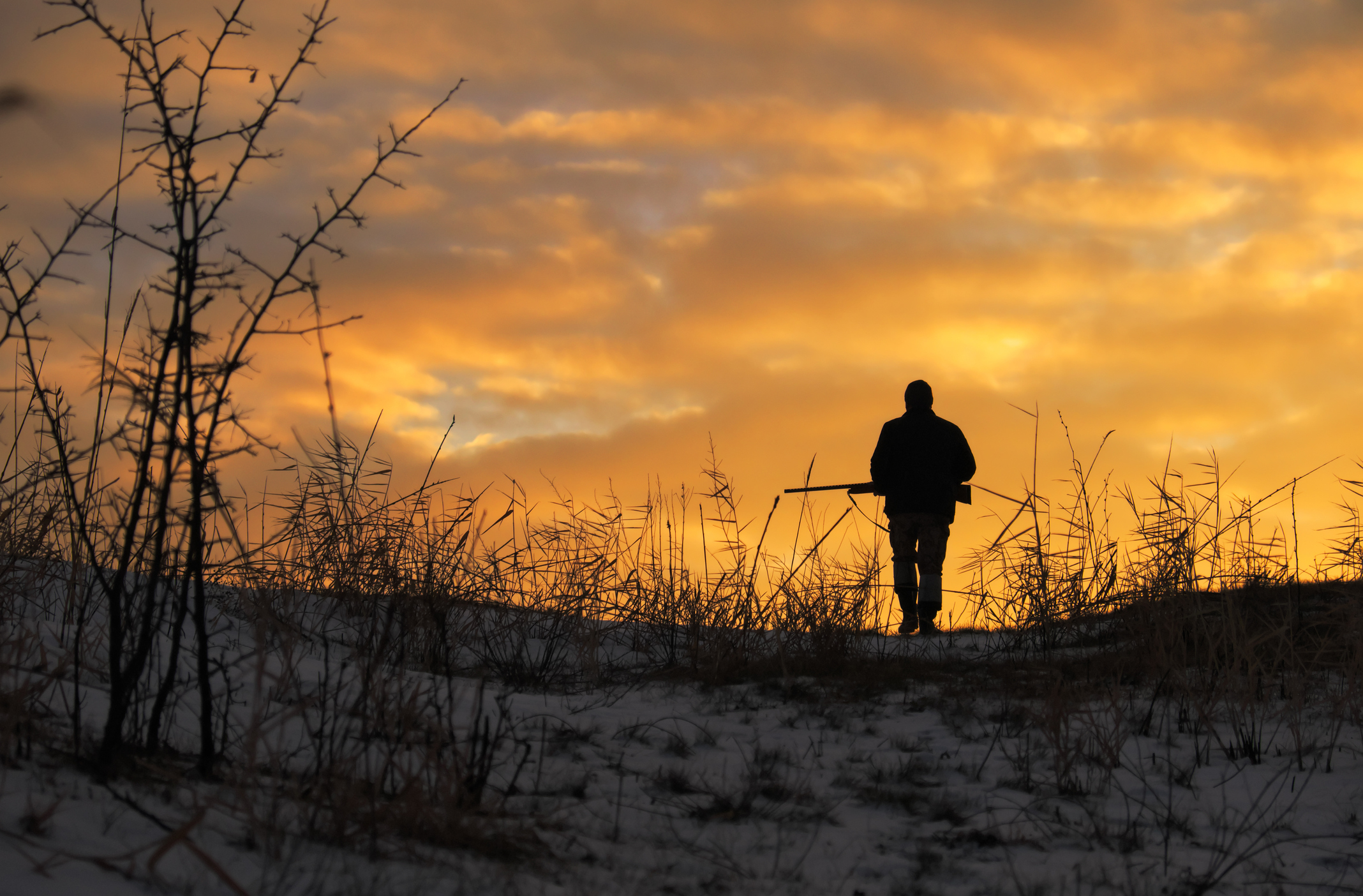 The 4 Causes of Hunter-Related Shooting Incidents | L-Tron