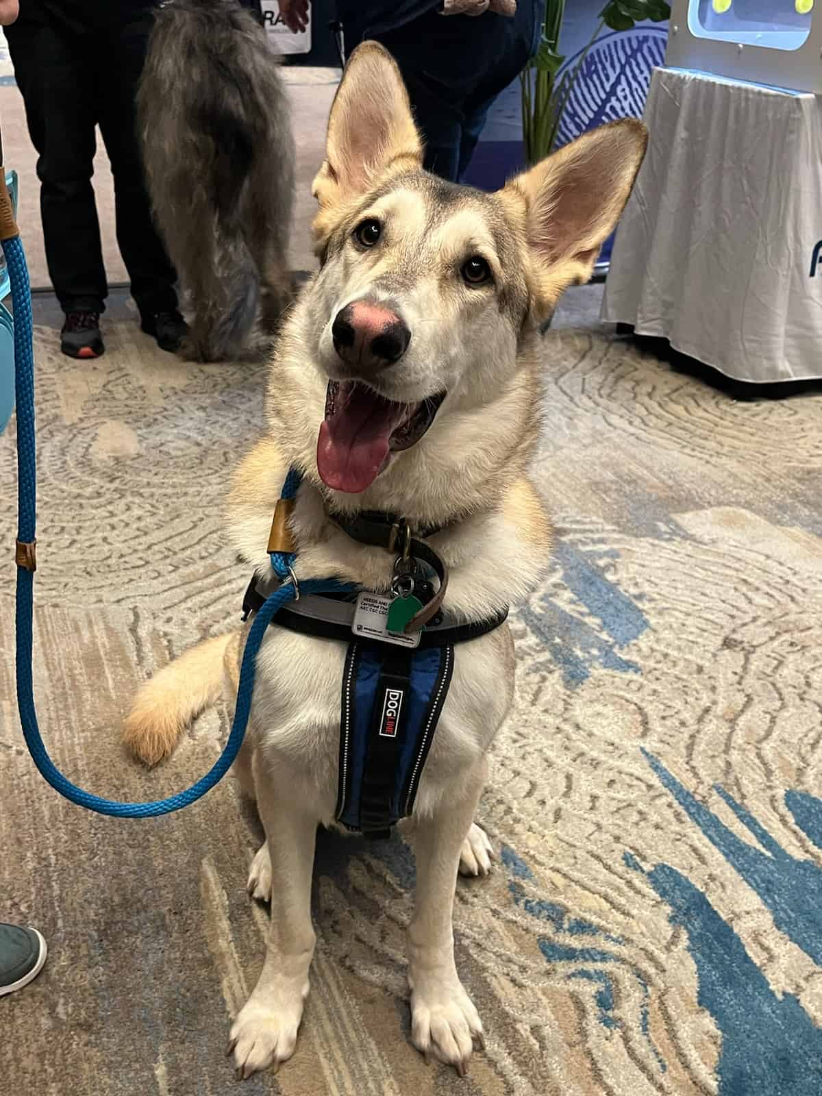 L-Tron returns from Florida Crime Scene Investigation Conference